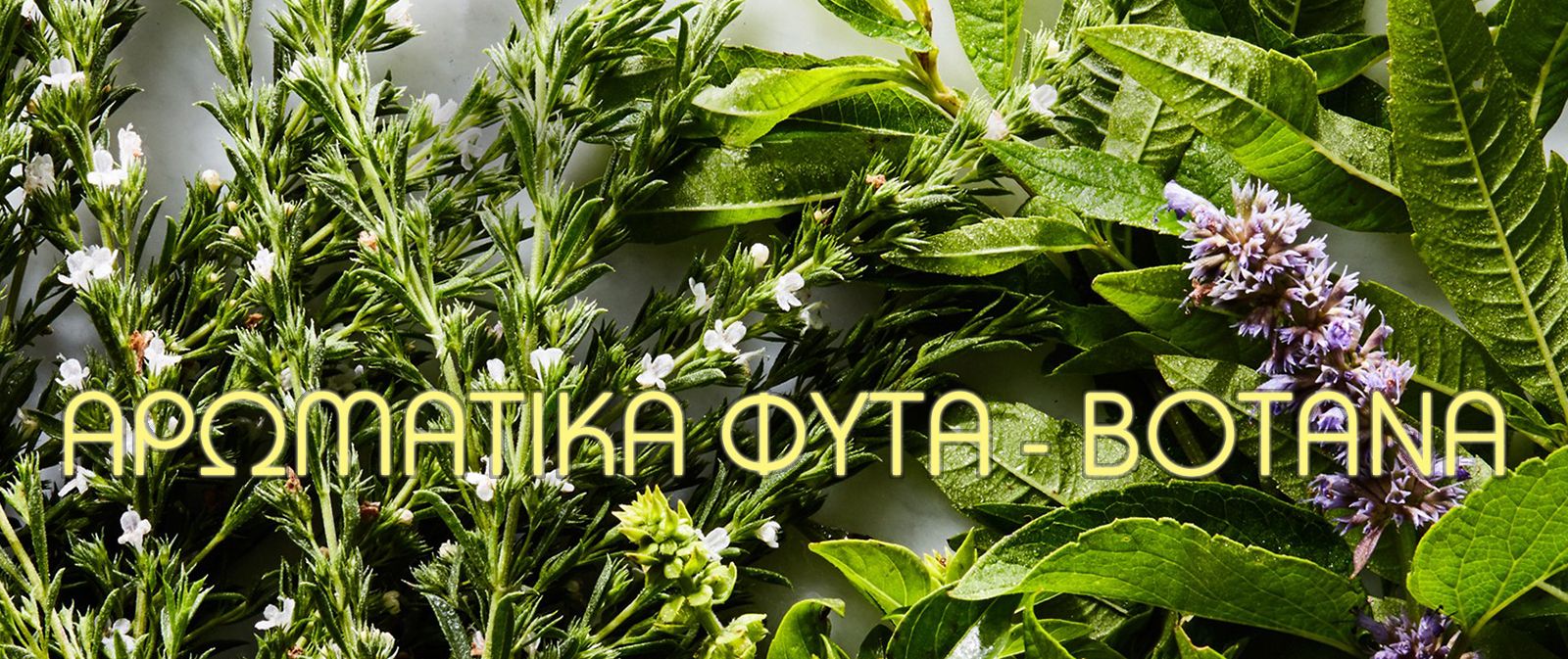 ΤΣΑΛΜΑΣ - Βότανα - Μπαχαρικά - Ξερά Σύκα - ΜΕΤΟΧΙ ΕΥΒΟΙΑΣ - Από το 1958 προϊόντα άριστης ποιότητας